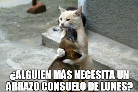 Los mejores memes sobre los lunes para reír mucho - Coolture | Coolture