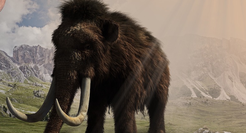 Un mamut lanudo: el "secreto" que obsesiona a los investigadores | Coolture