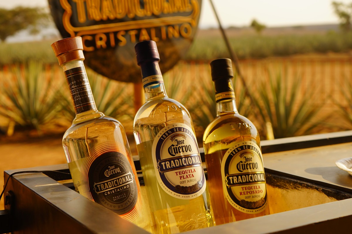 Akamba 2024: Festival de música y arte en tequila, México | Coolture